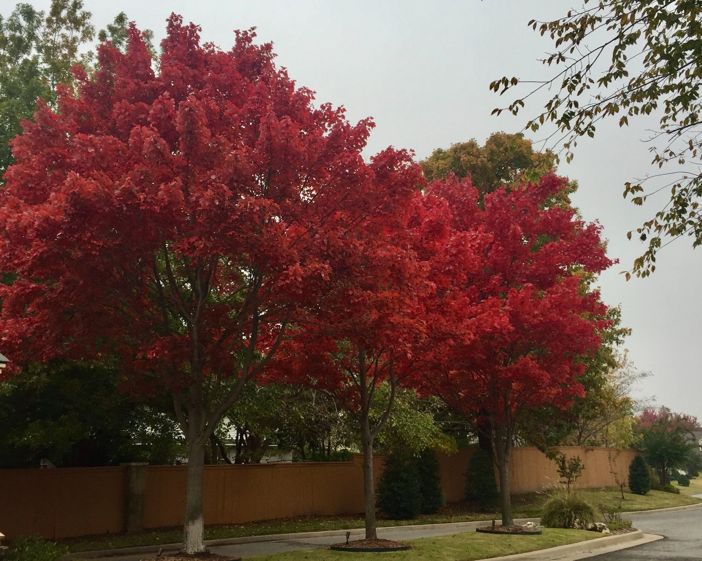 HOA Documents — Southern Pointe HOA