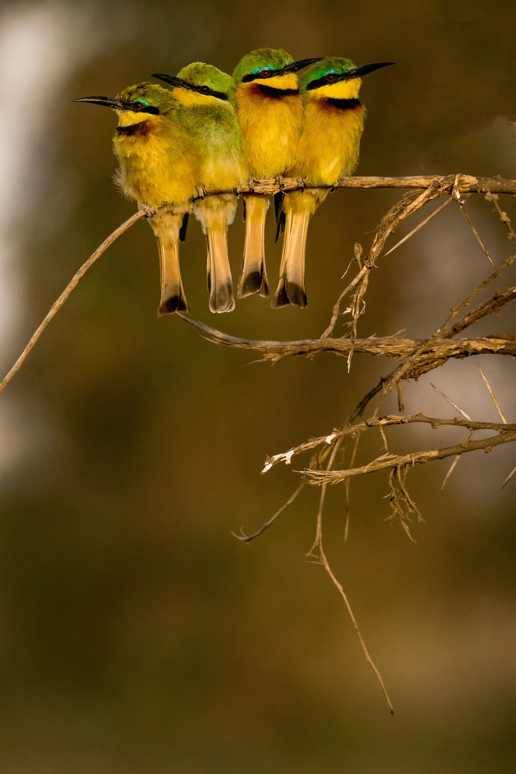 Kathleen Ricker Photography