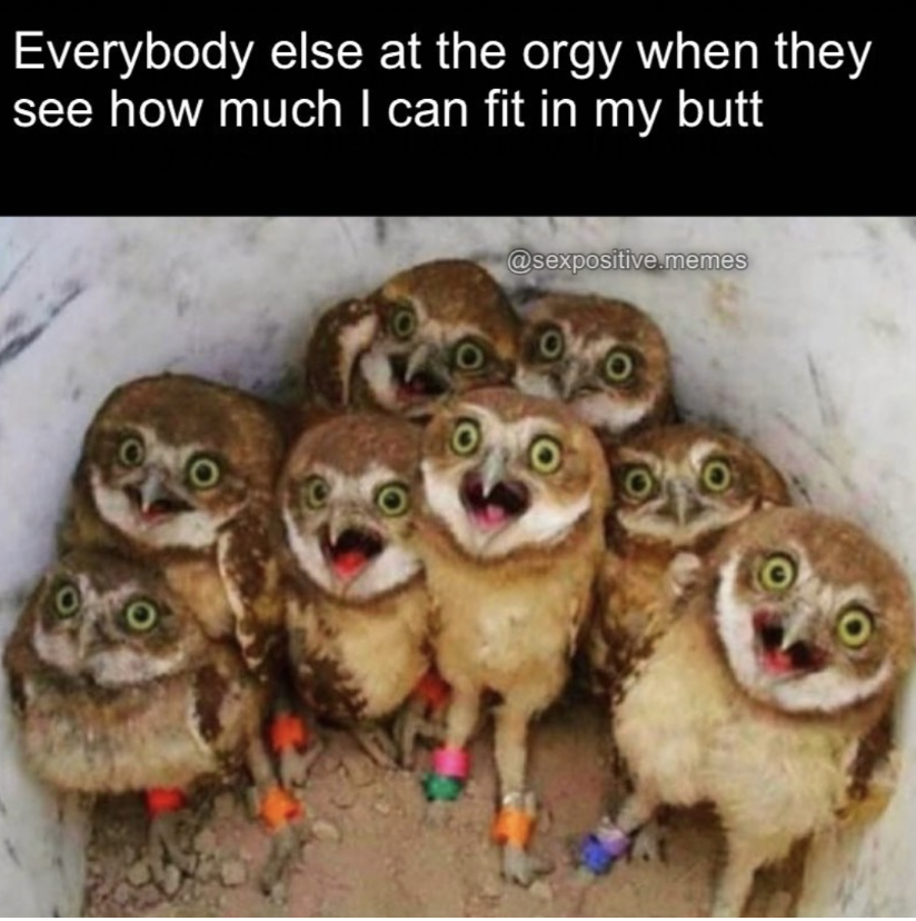 Sexual Memes