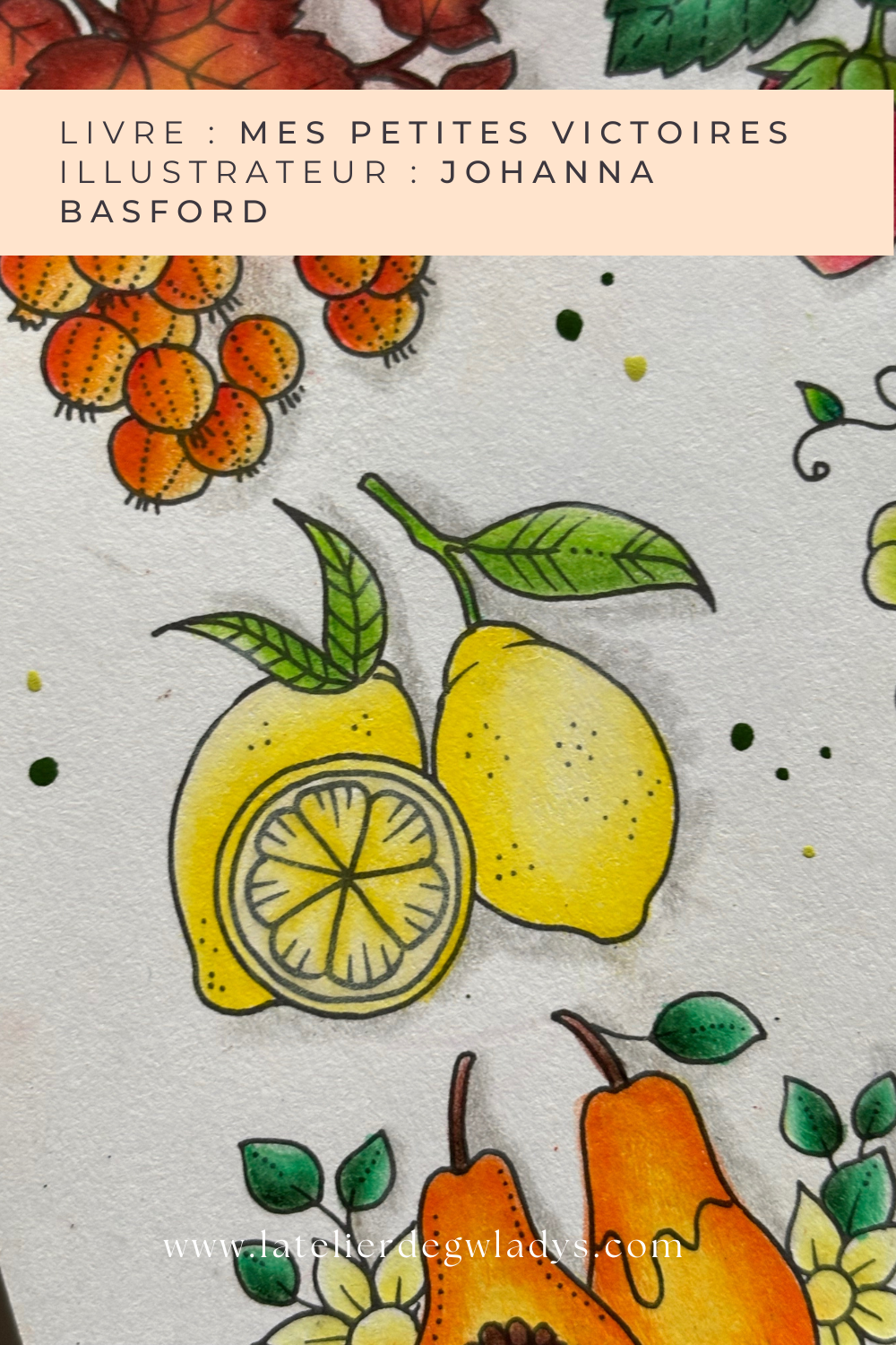 Comment colorier les fruits de saison ? — L'Atelier de Gwladys