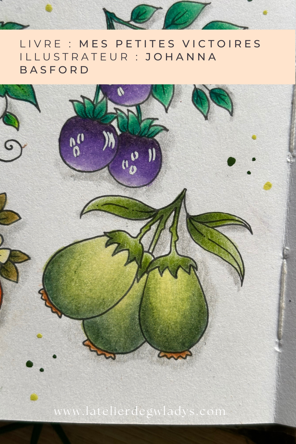 Comment colorier les fruits de saison ? — L'Atelier de Gwladys