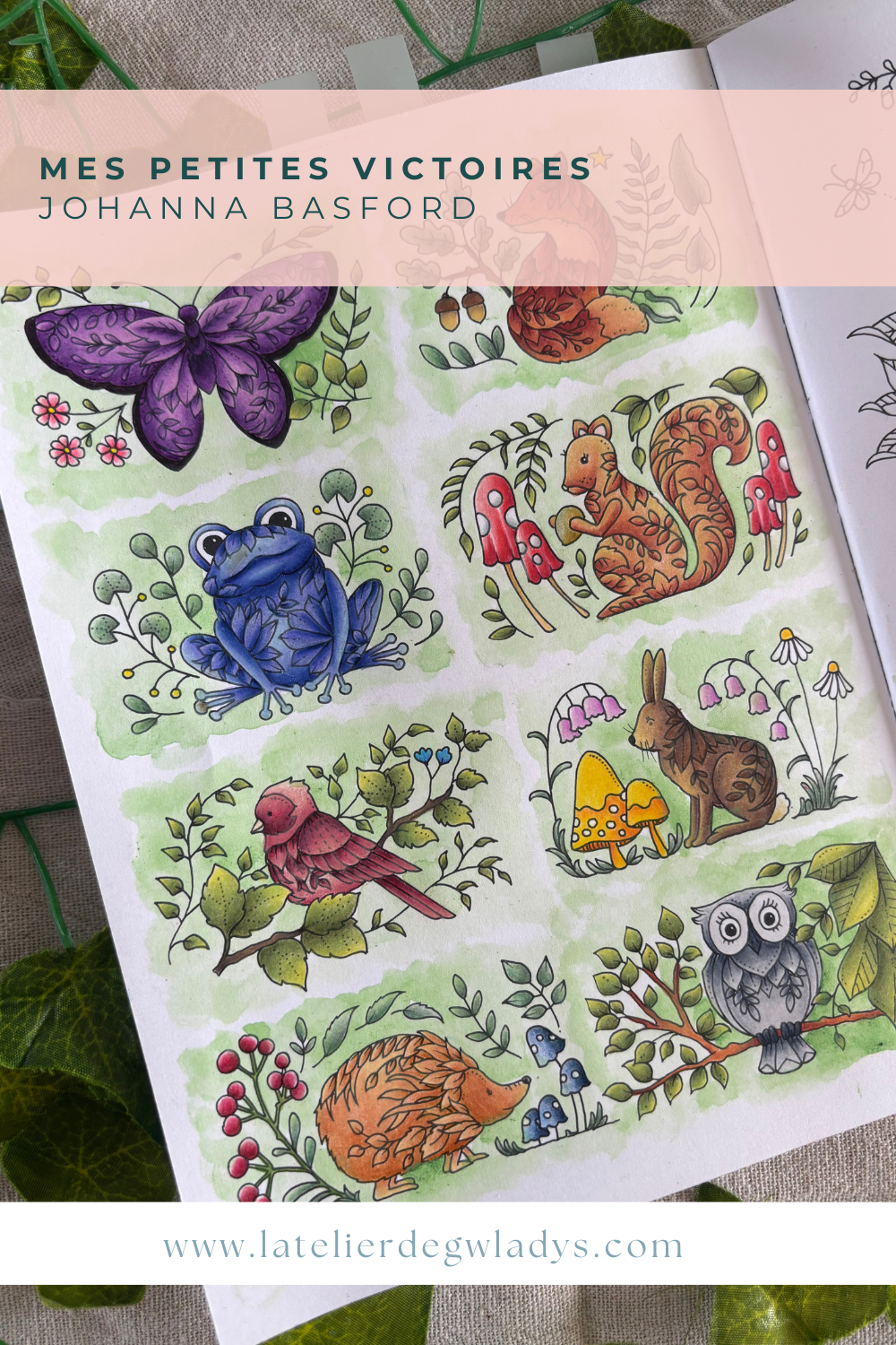 Comment colorier des animaux des bois aux Derwent Chromaflow ? — L ...