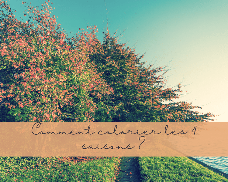 Comment colorier les 4 saisons — L'Atelier de Gwladys