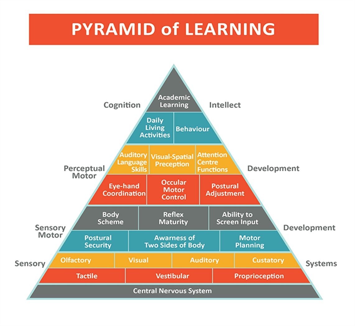 The Pyramid of Learning — Thrive Pediatric Therapy