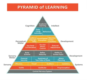The Pyramid of Learning — Thrive Pediatric Therapy