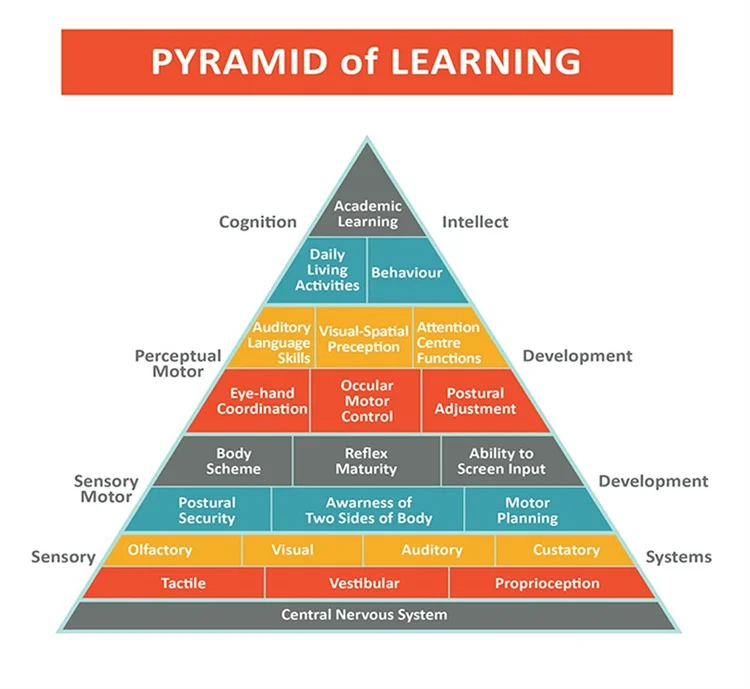 The Pyramid of Learning — Thrive Pediatric Therapy