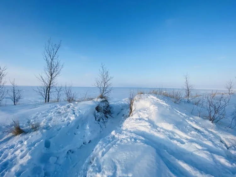 Marquette Park — Visit Miller Beach | Gary Indiana
