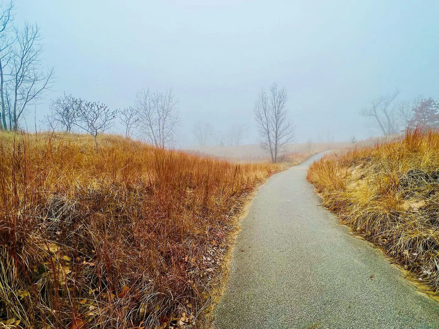 Visit Miller Beach Gary | Your Gateway to the Indiana Dunes