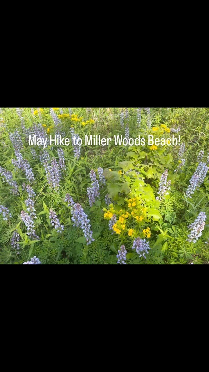 Visit Miller Beach Gary | Your Gateway to the Indiana Dunes