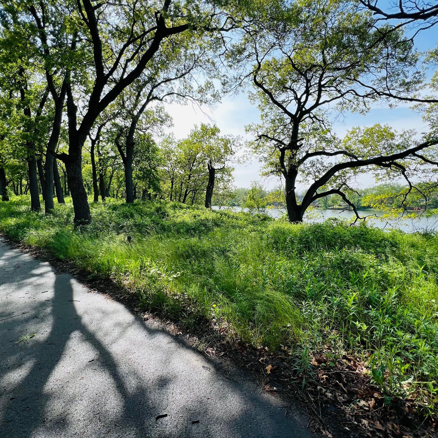 Visit Miller Beach Gary | Your Gateway to the Indiana Dunes