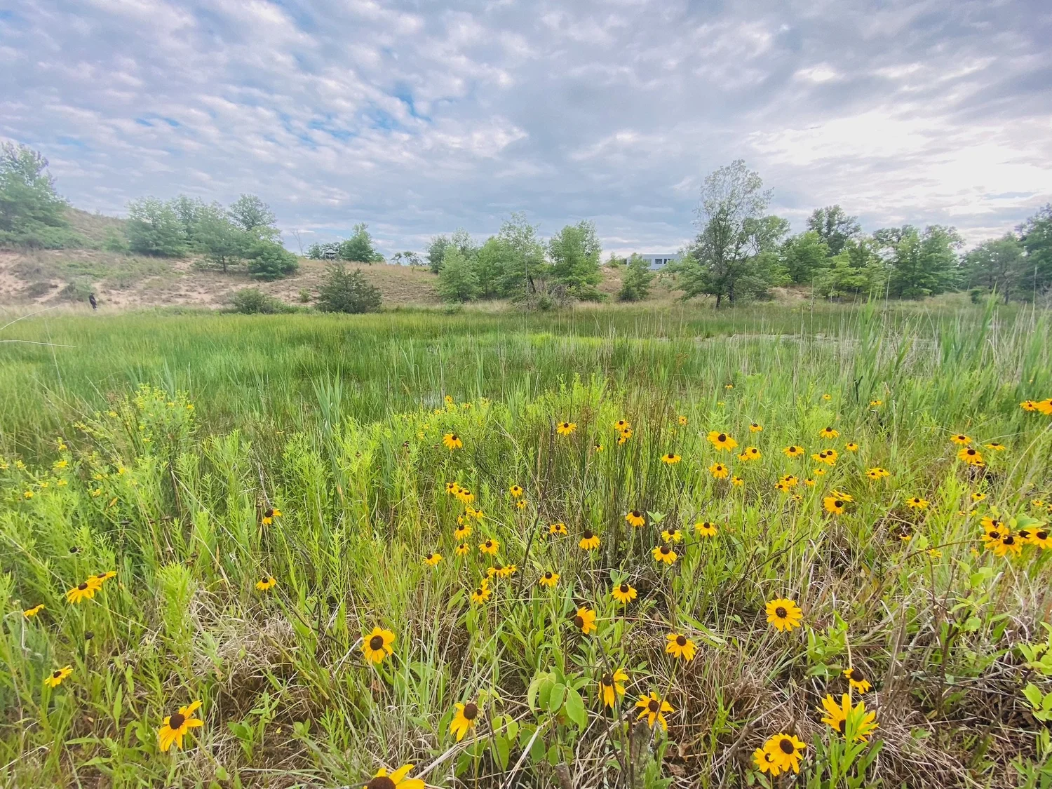 Indiana Dunes National Park — Visit Miller Beach | Gary Indiana
