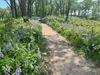 Visit Miller Beach Gary | Your Gateway to the Indiana Dunes
