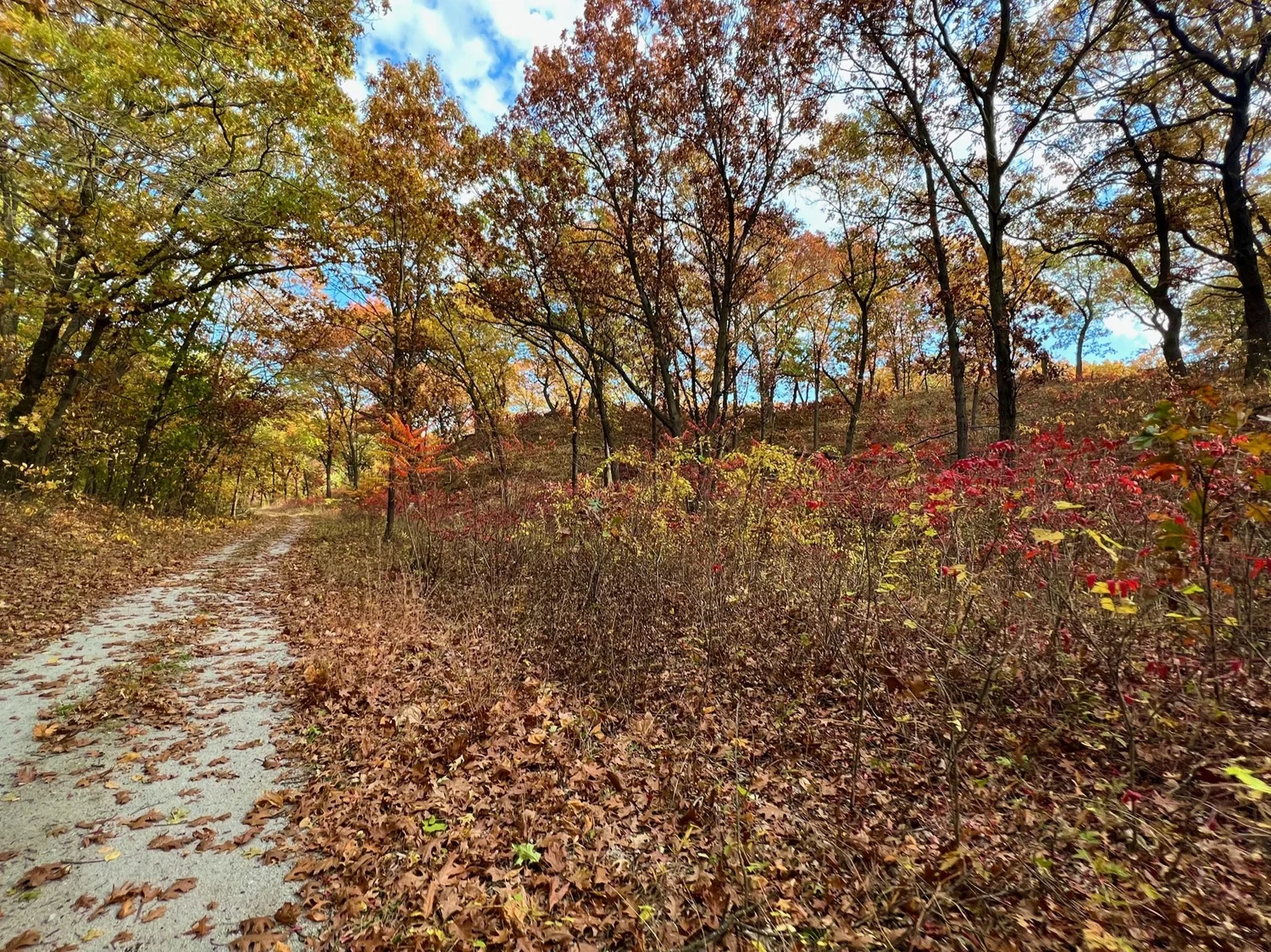 Trails — Visit Miller Beach | Gary Indiana