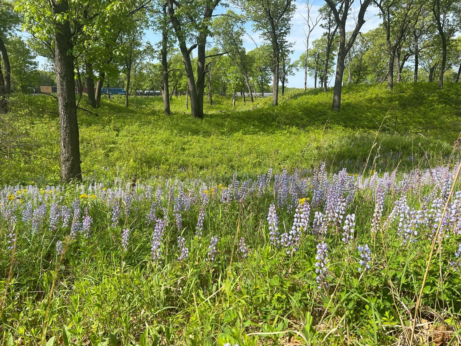 Trails — Visit Miller Beach | Gary Indiana