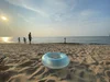 Visit Miller Beach Gary | Your Gateway to the Indiana Dunes