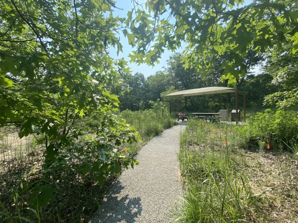 Indiana Dunes National Park — Visit Miller Beach | Gary Indiana