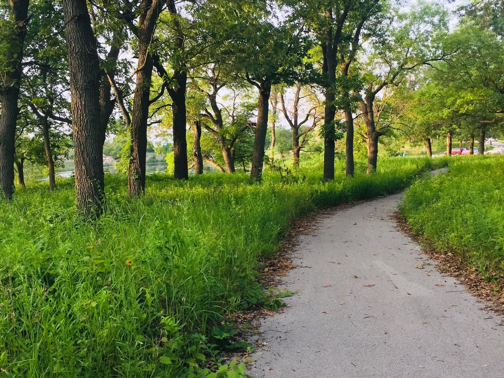 Trails — Visit Miller Beach | Gary Indiana