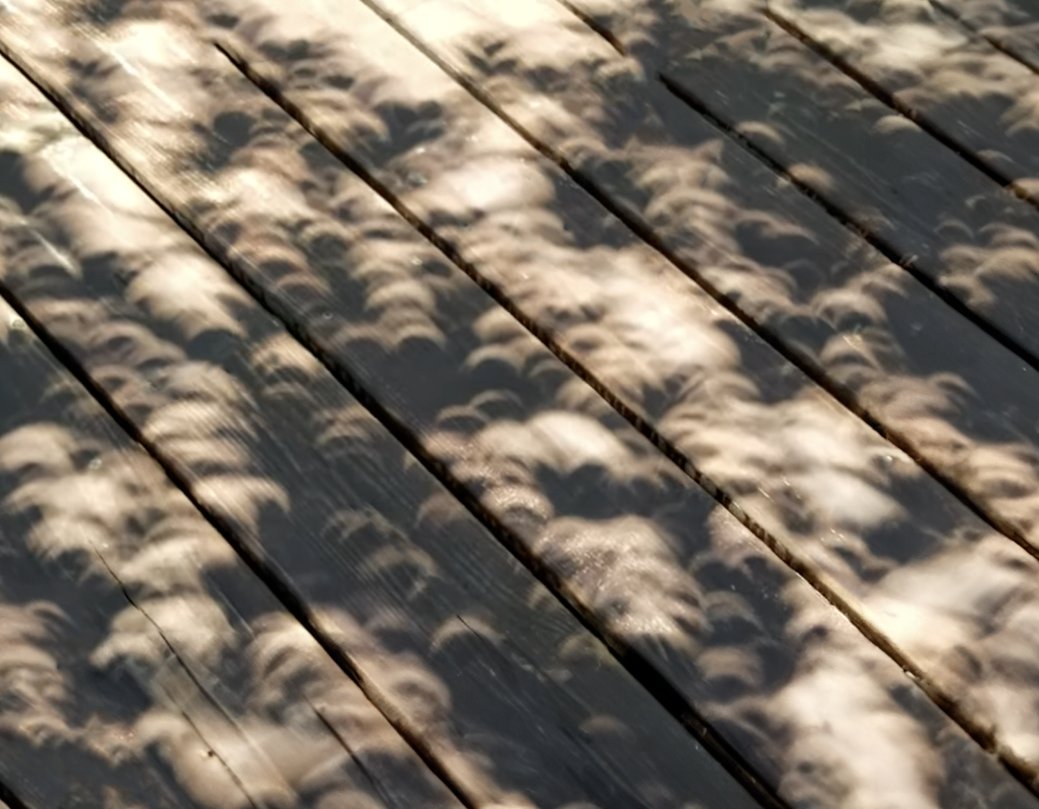 What can photographers learn from the solar eclipse? — Deborah Johnson ...