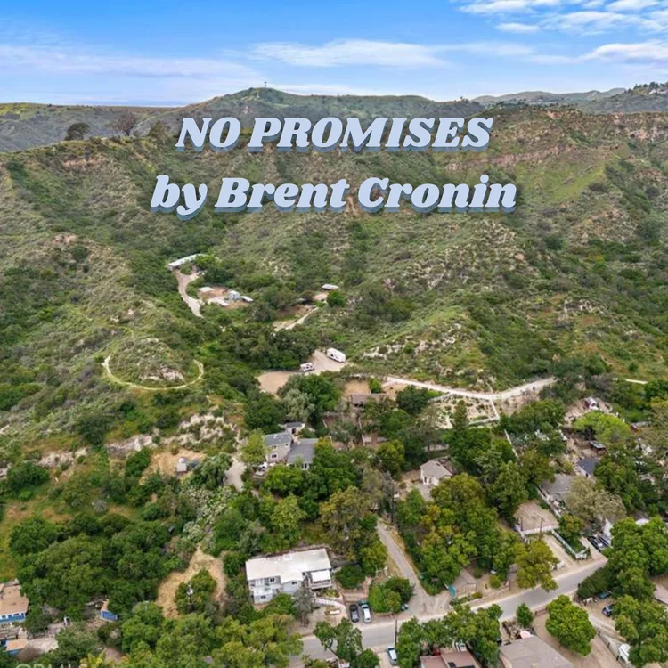 Brent Cronin - No Promises — God's Cruel Joke