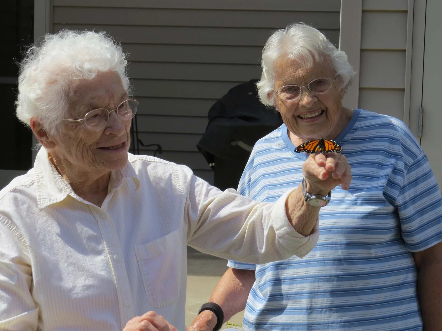 Duluth Monarch Buddies Events — Duluth Monarch Buddies