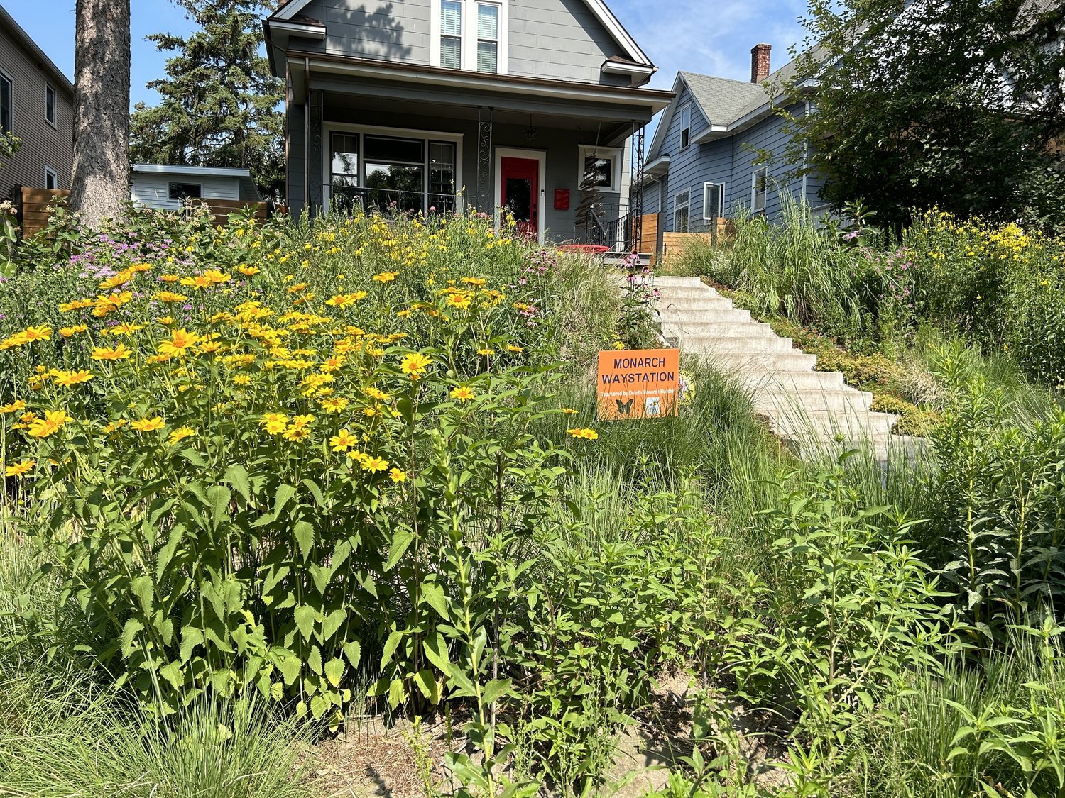 Duluth Monarch Buddies Events — Duluth Monarch Buddies