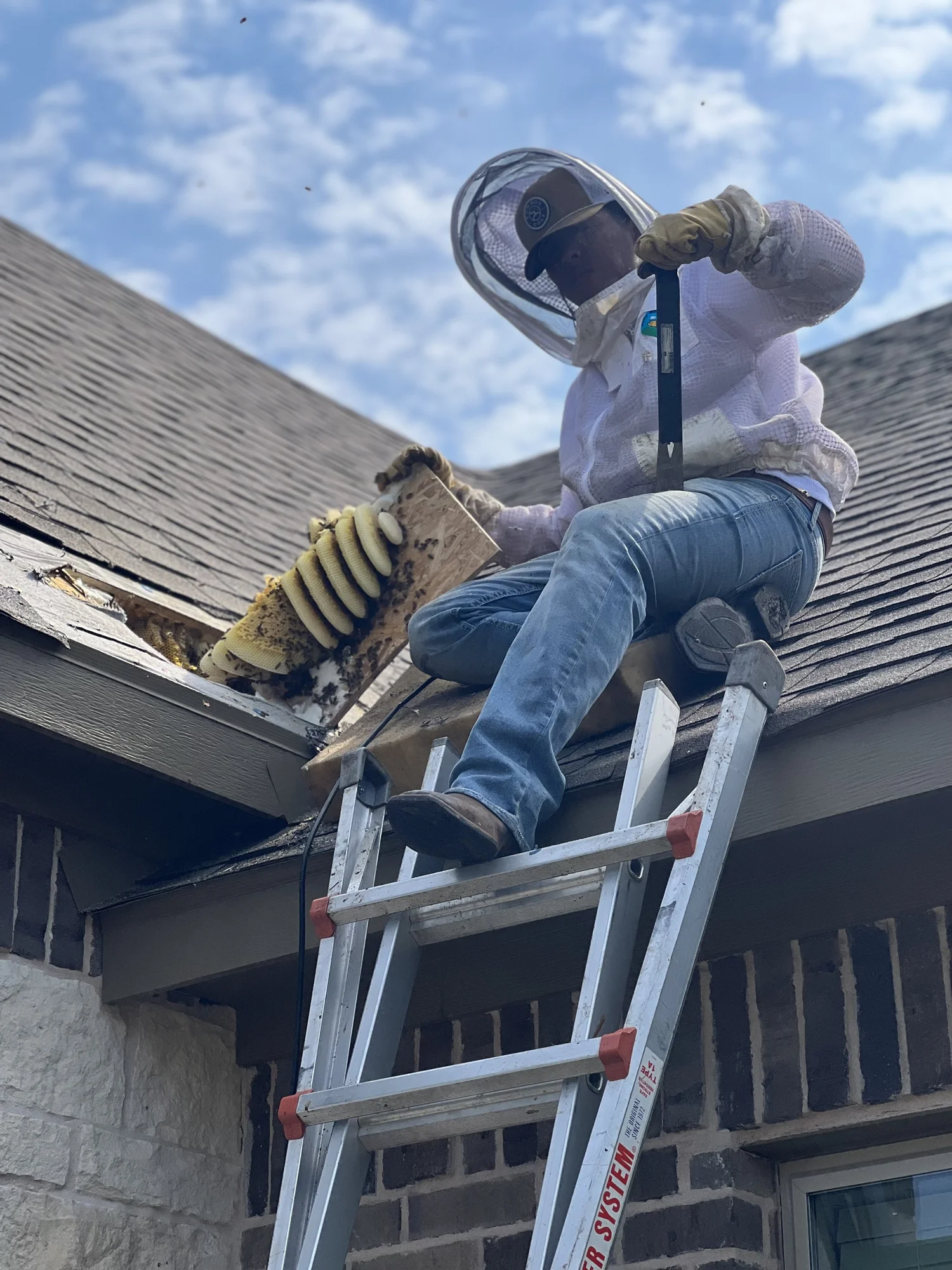 Ross' Rowdy Bees | Raw & Infused Honey | Carrollton, TX