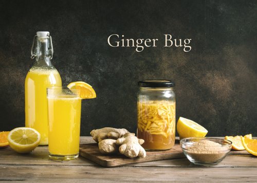The Ginger Bug: Brewing Health and History — River Trip Homestead