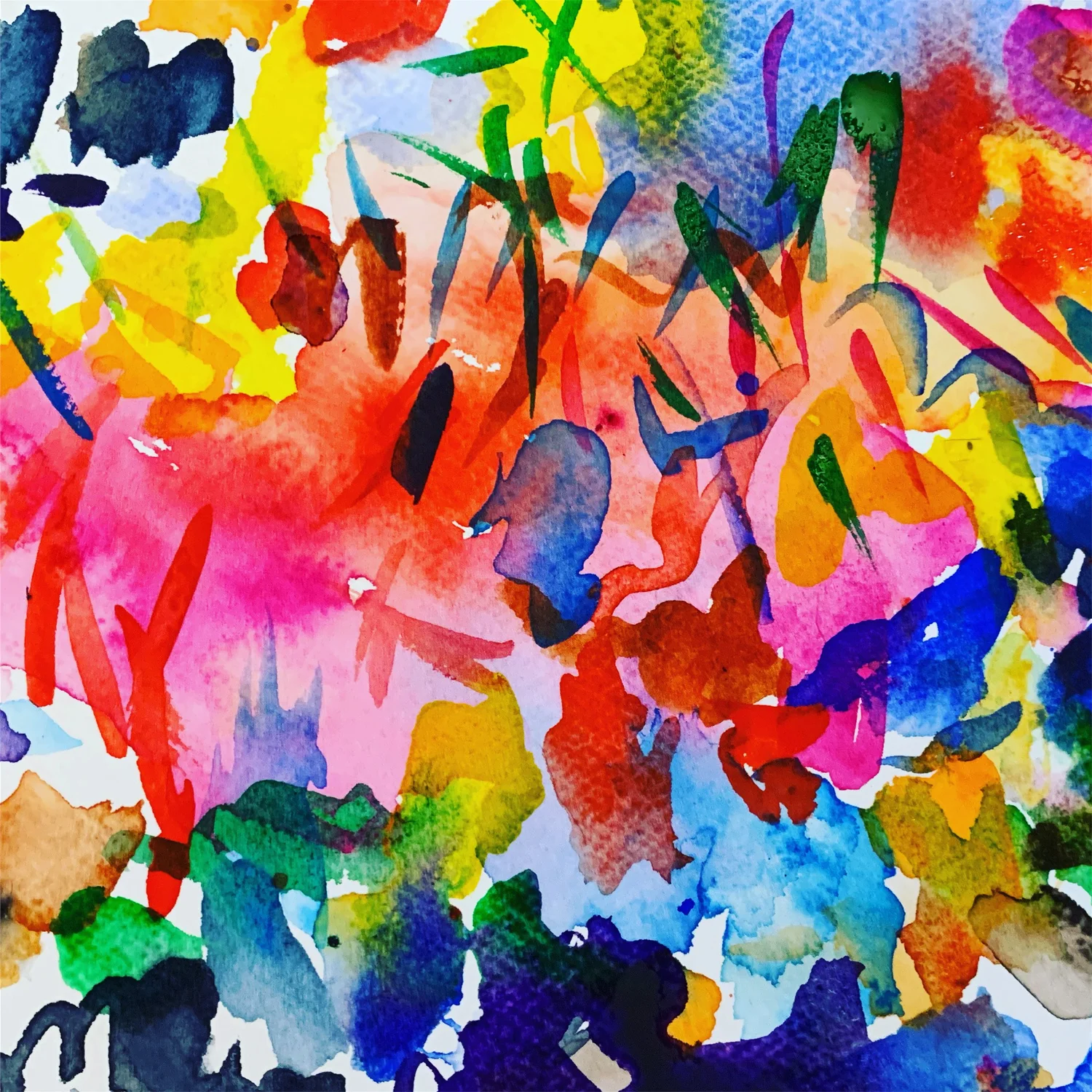 Absolutely Nat — Maria Scrivan