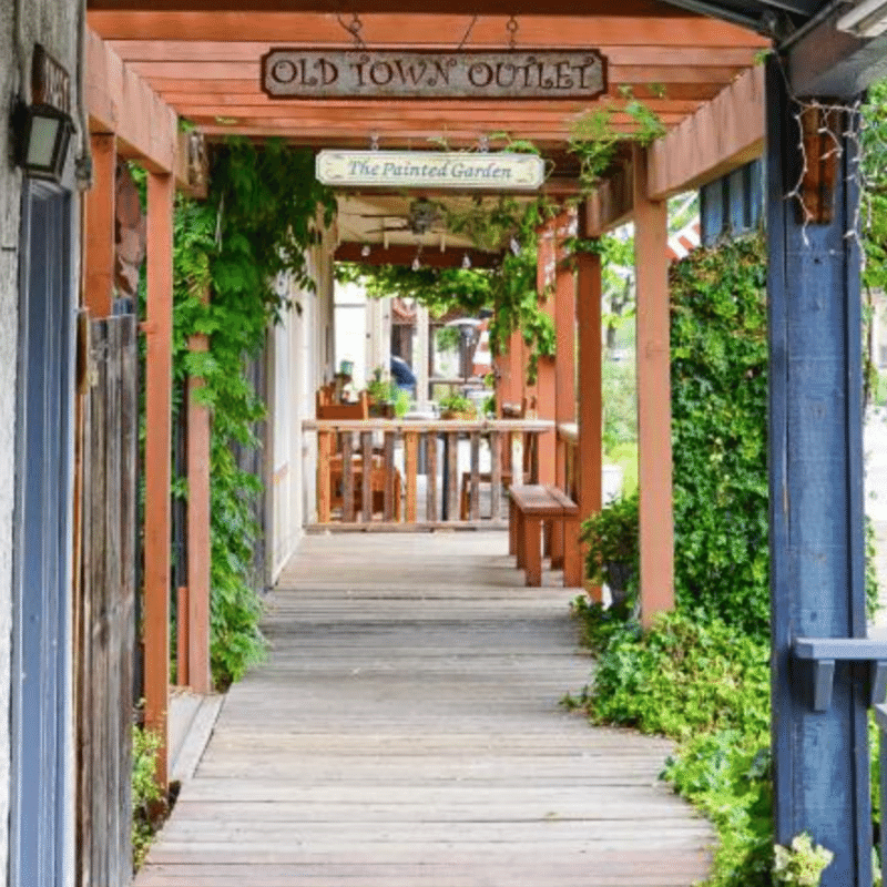 Explore The Local Area — Tiny Escape