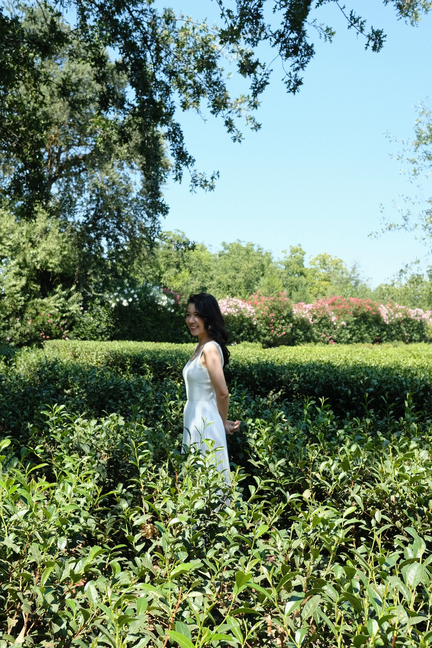 Contacting our Tea Farm — Redwood Tea Estate