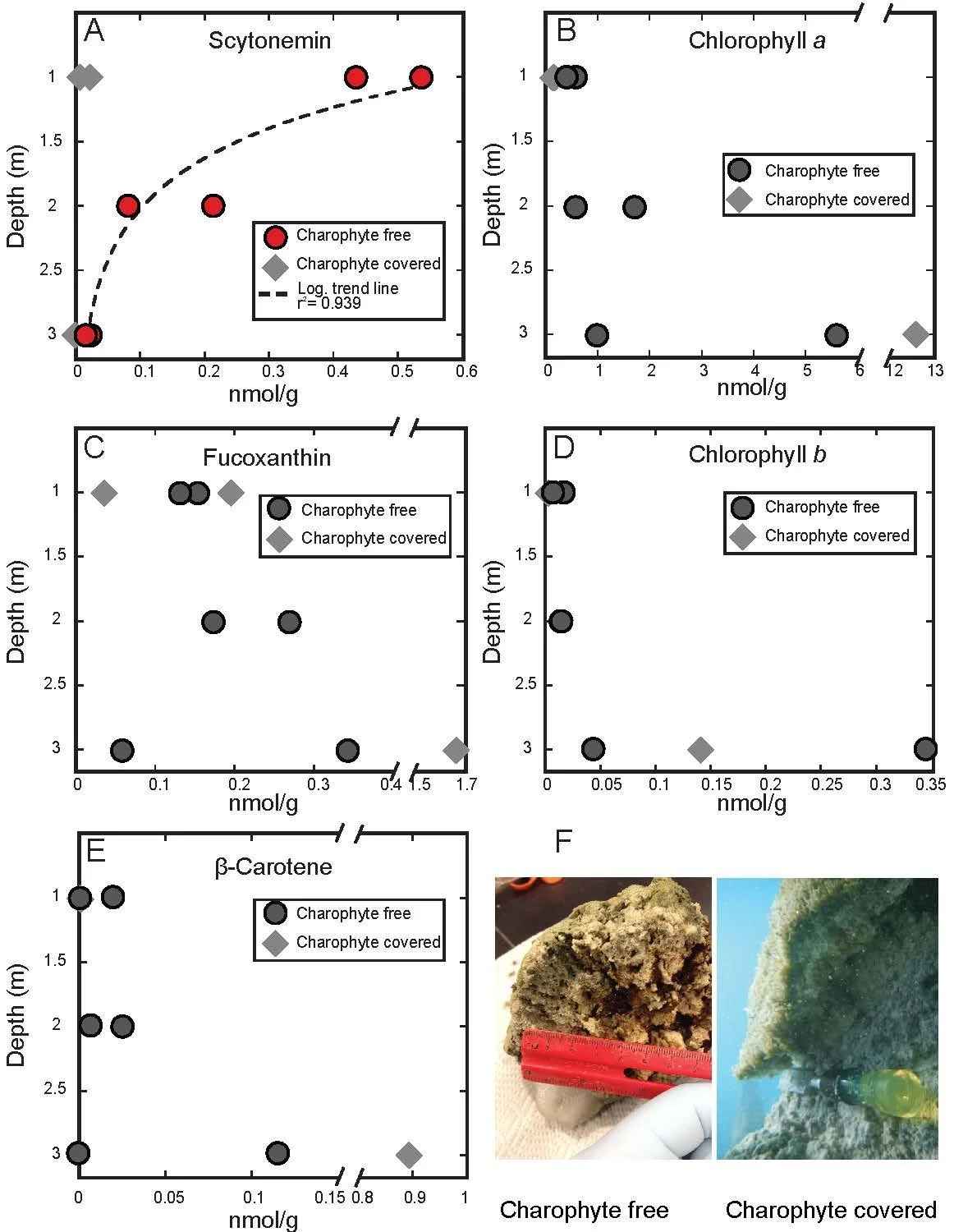 Pigment Biomarkers — Benjamin Uveges, PhD