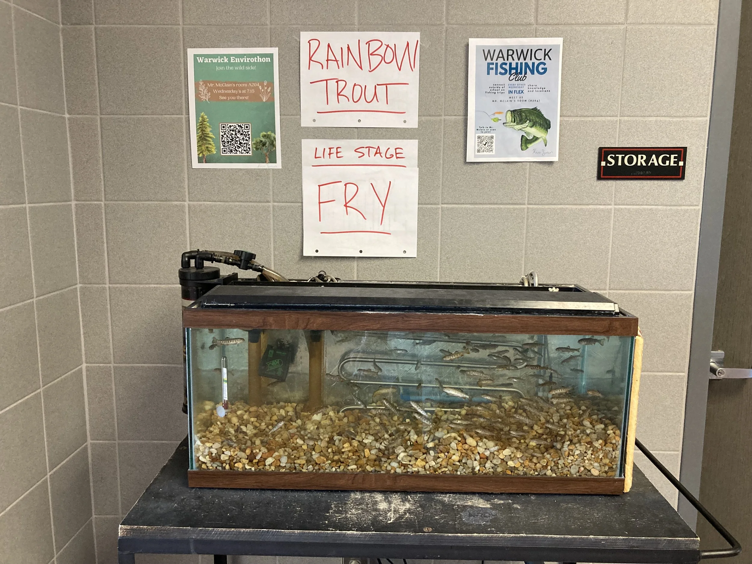 Trout In The Classroom — Donegal Trout Unlimited