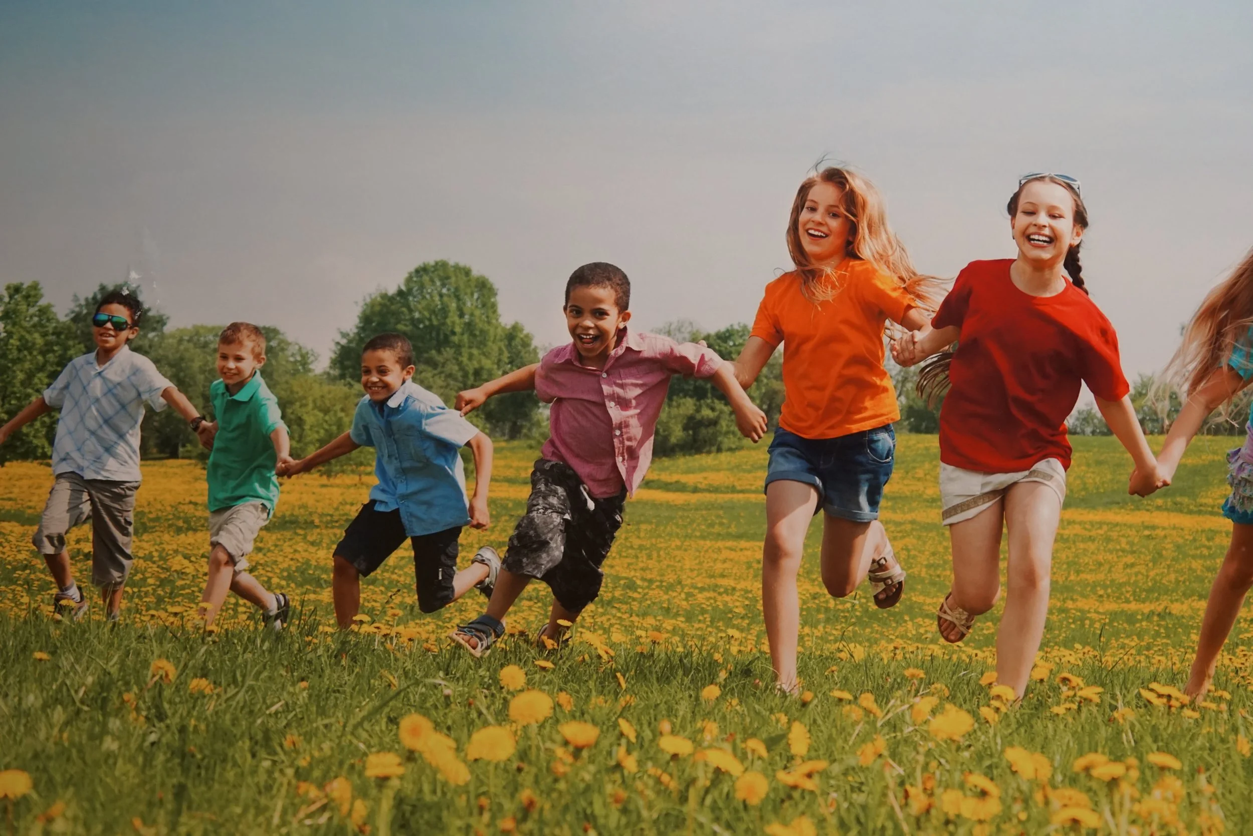 Services | Programs (old copy) — National Family Resiliency Center