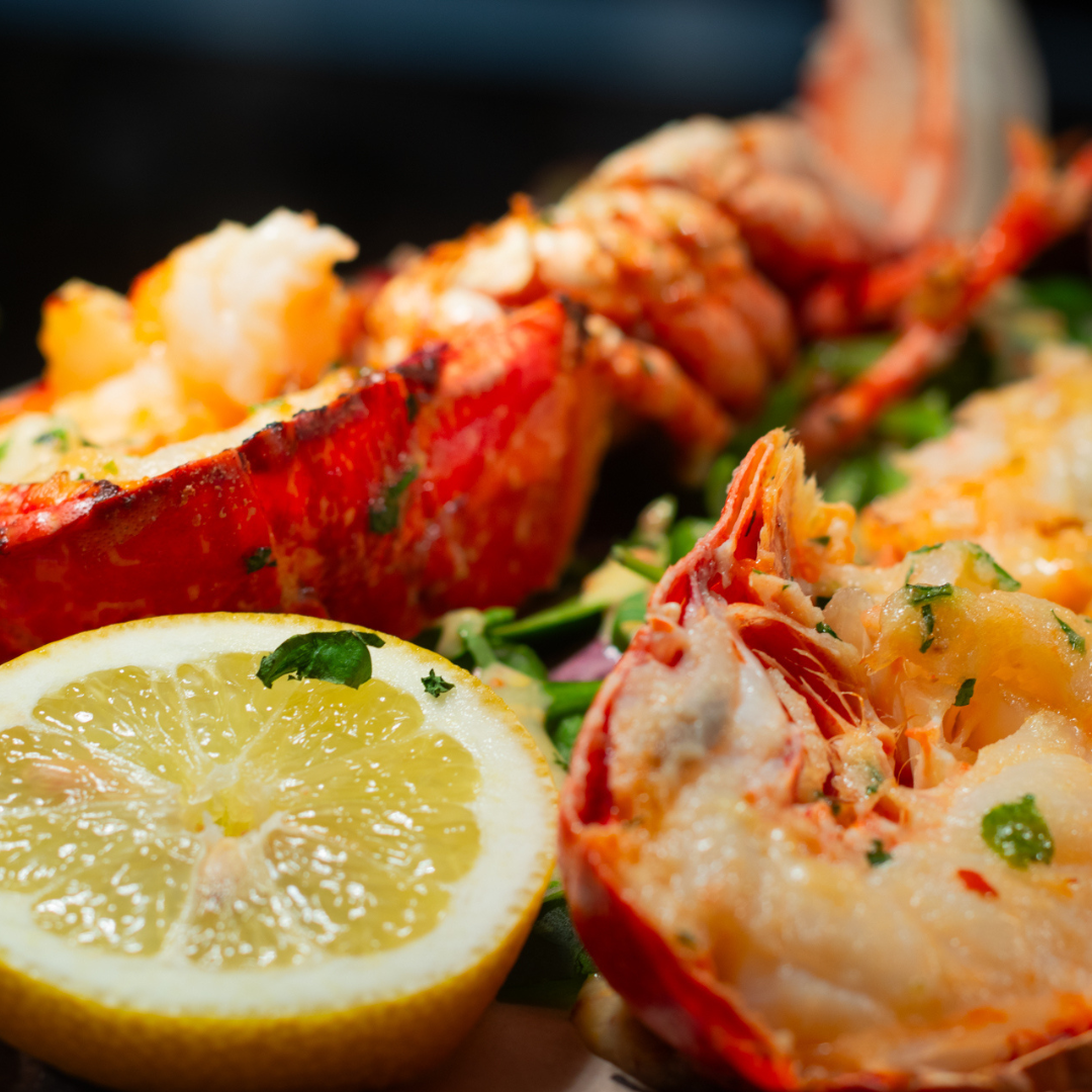 Main Menu — PALOMAR