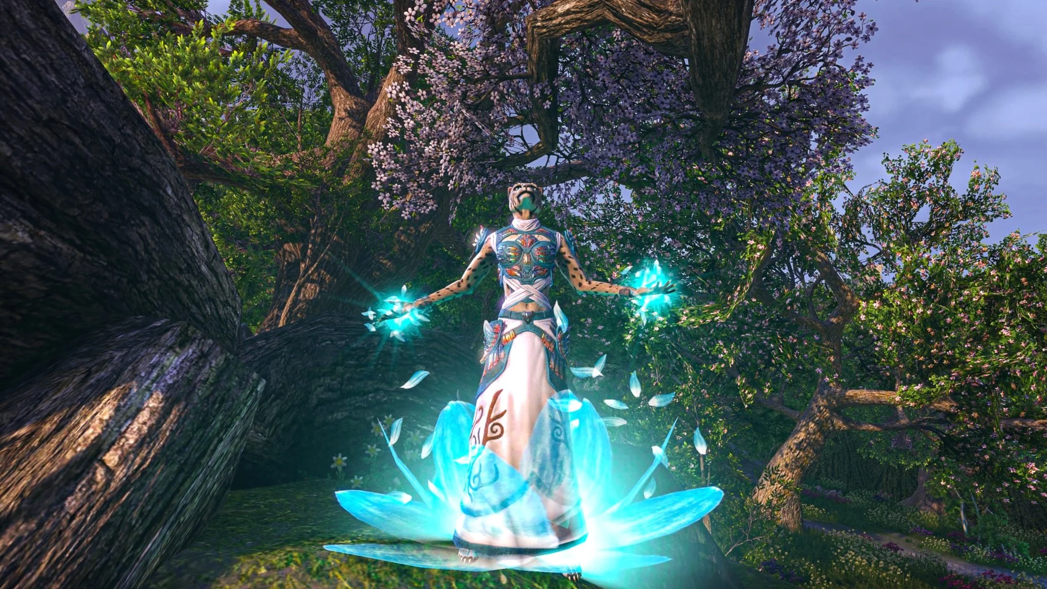 Warden DPS Guide | Update U45 — Ninja Pulls