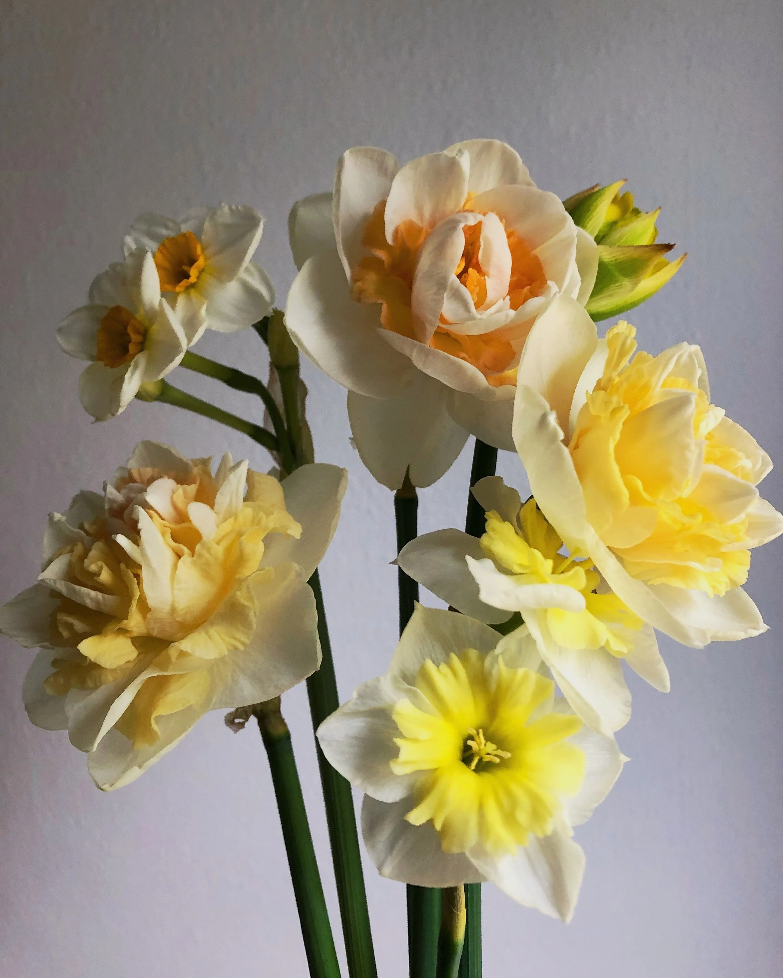 Saint Rose Flowers & Farm