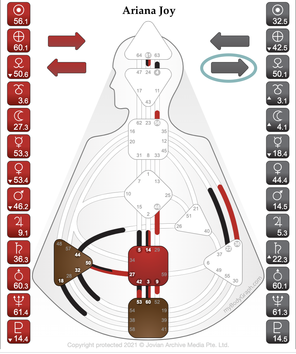 Are You a Specific or a Non-Specific Manifestor? — Just Follow Joy