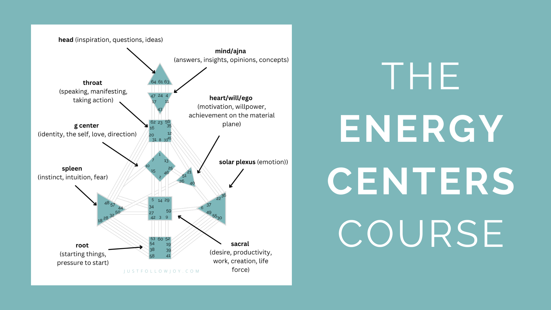 Human Design Courses — Just Follow Joy