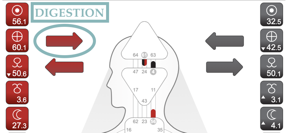 HUMAN DESIGN 101: What are the FOUR ARROWS + what do they mean? — Just ...