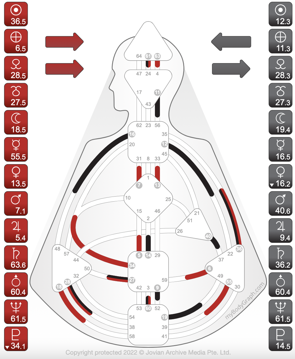 HD101: The 5 Human Design Definition Types - Single, Split, Triple ...