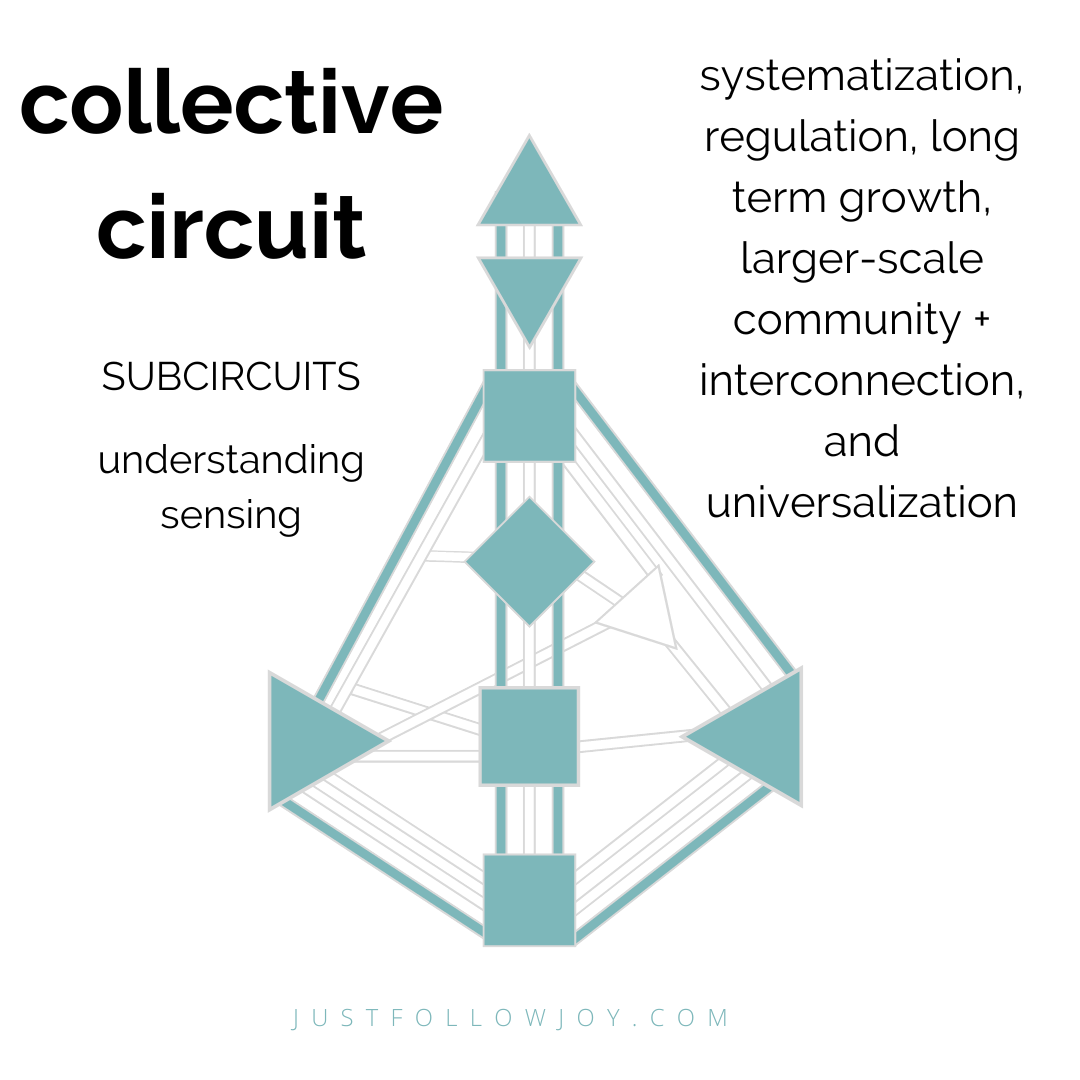 HD101: The Human Design Circuits — Just Follow Joy