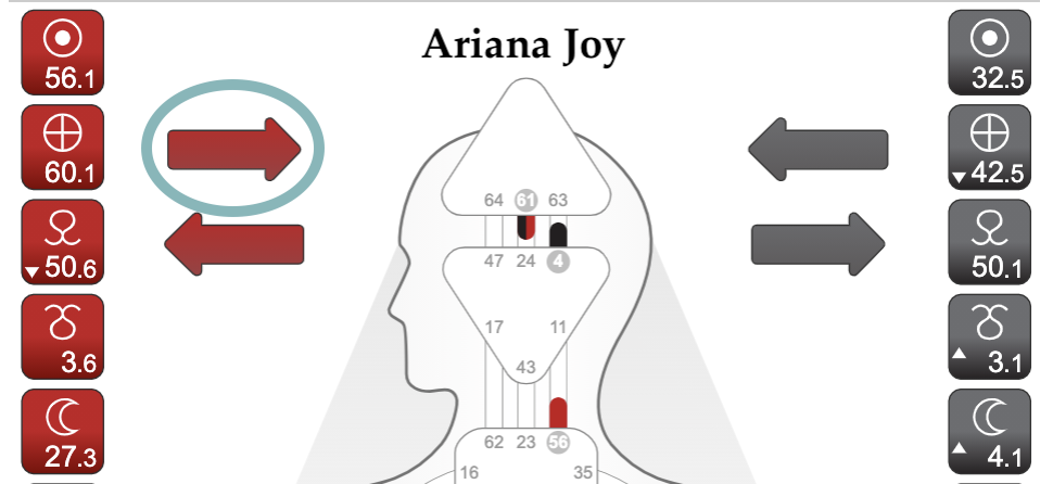 HUMAN DESIGN 101: What are the FOUR ARROWS + what do they mean? — Just ...