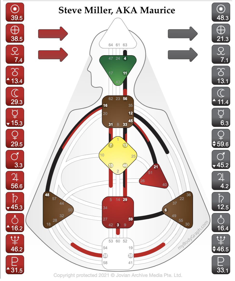 HUMAN DESIGN 101: What are the FOUR ARROWS + what do they mean? — Just ...