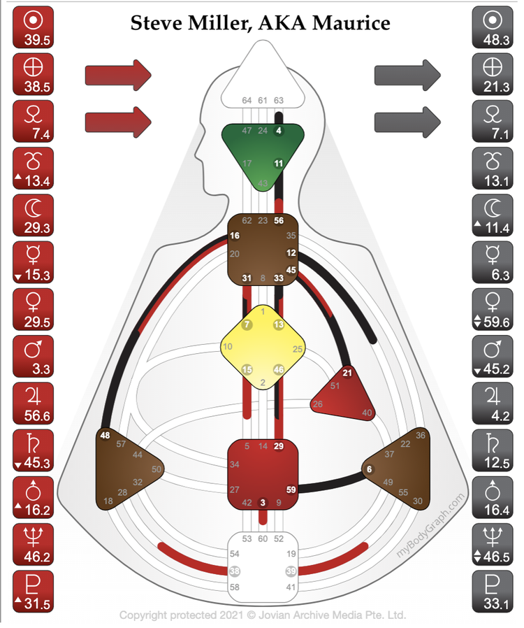 HUMAN DESIGN 101: What are the FOUR ARROWS + what do they mean? — Just ...