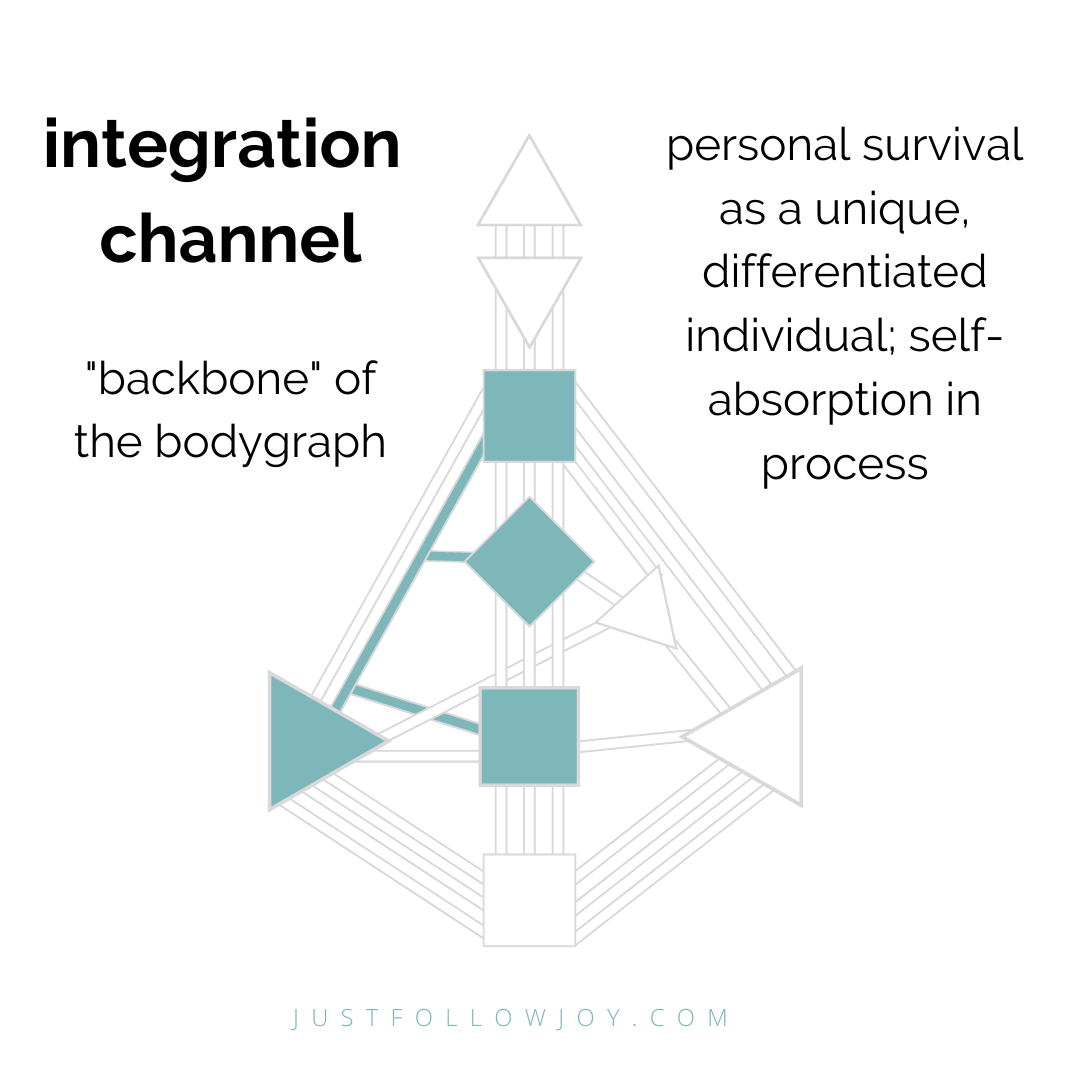 HD101: The Human Design Circuits — Just Follow Joy
