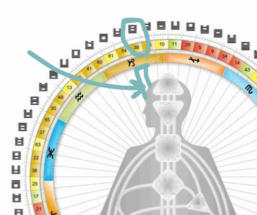 Your Human Design Ascendant (AKA Rising) Gates — Just Follow Joy
