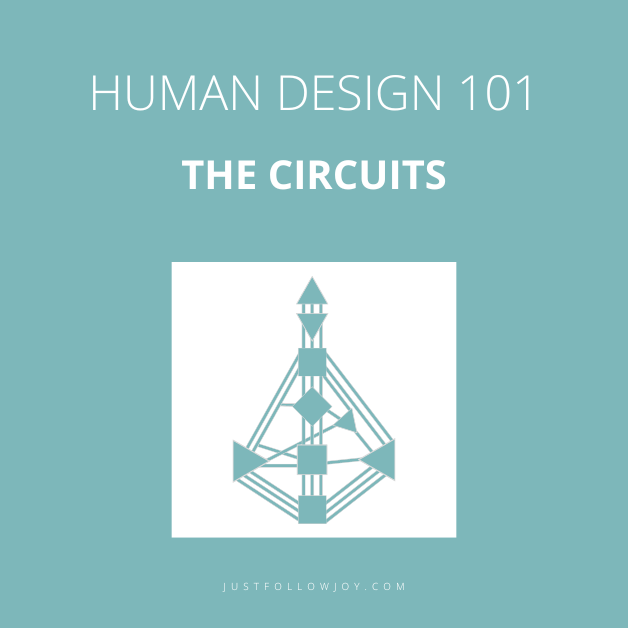 HD101: The Human Design Circuits — Just Follow Joy