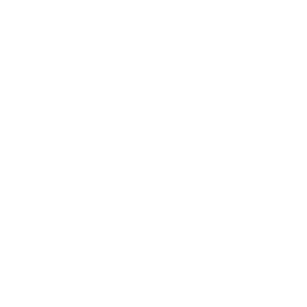 Neurosequential Model of Therapeutics (NTM)
