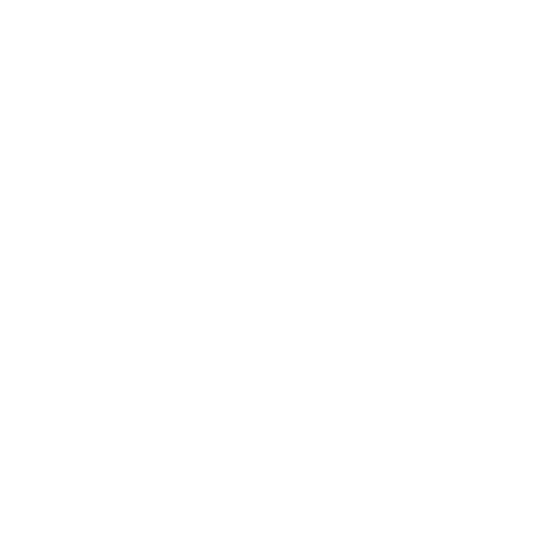 Neurosequential Model of Therapeutics (NTM)