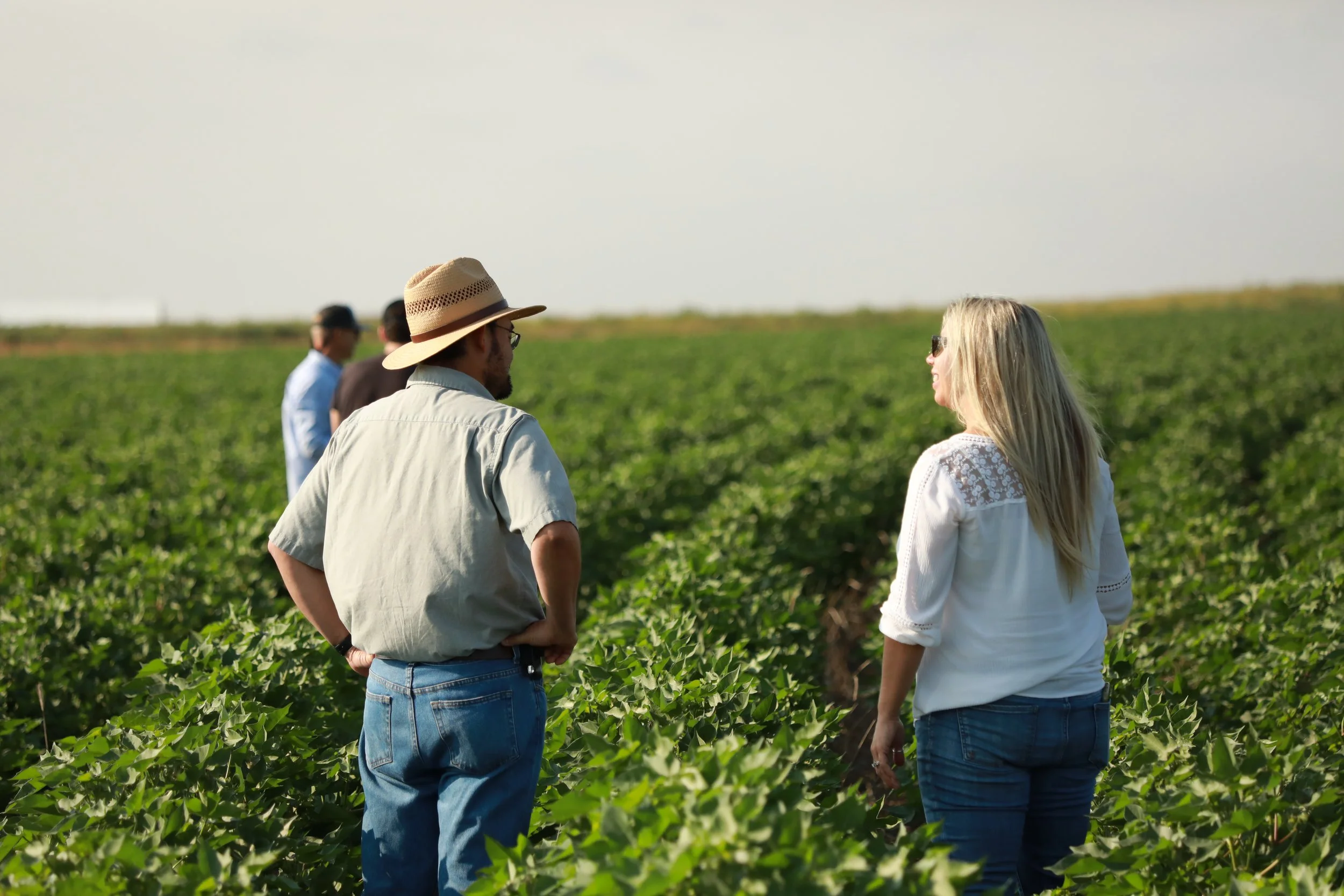 Extension & Education — RegenAg